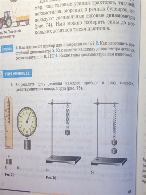 Чему равен вес каждого грузаУкажите точку его приложения Школьные Знания Com