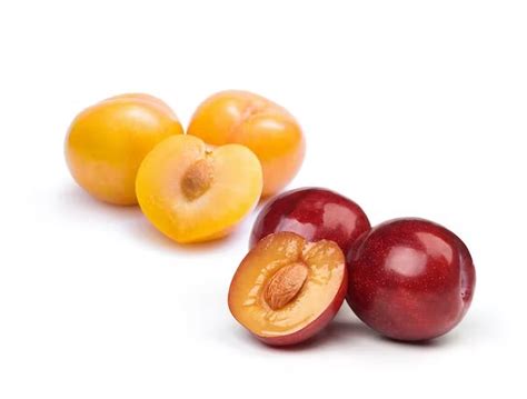 დაცვის სქემა Agro Effect