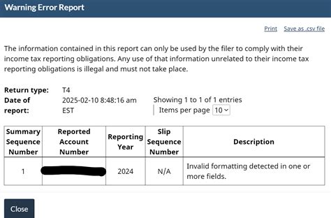 T Summary EFILE Error Invalid Formatting Detected In One Or More Fields EFILE