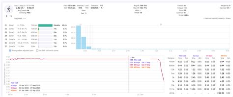 Activating GAP In Walk Activity Pace Curve Shows Weird Data Bug Reports Intervals Icu Forum