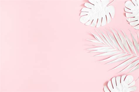 여름 구성 열 대 야자수 분홍색 배경에 나뭇잎 여름 개념입니다 플랫 레이 평면도 복사 공간 열대 기후에 대한 스톡 사진 및 기타 이미지 Istock