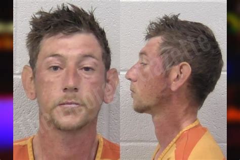 Daniel Helmly — Paulding County Jail Bookings