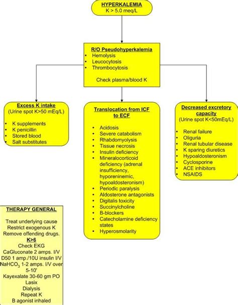 Hyperkalemia System Disorder Template