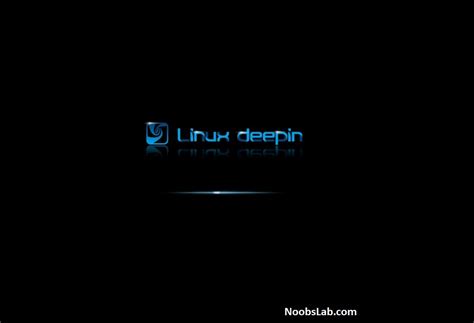 linux deepin 12 12 1 has been released update with many fixes