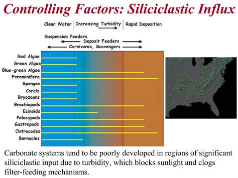 Carbonate Depositional Systems Ppt