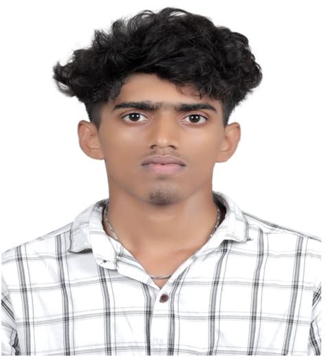 Electrical And Electronics Engineering Lbs College Of Engineering