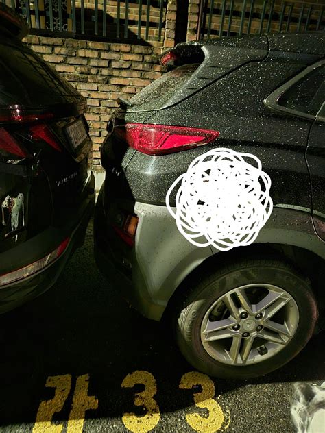 ㅇㅎ 야외카섹 유머 움짤 이슈 에펨코리아