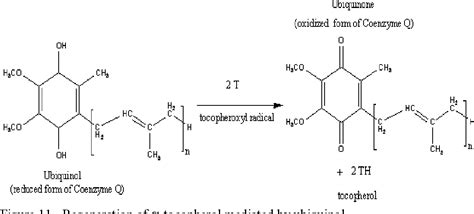 Figure 1 From Cell Toxicity And Uptake Of Rrr Alpha Tocopheryl Polyethylene Glycol 1000