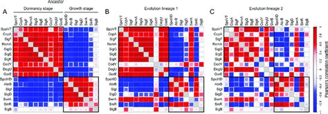 Coactivation Patterns Of Regulators In Ancestral And Evolved Colonies Download Scientific