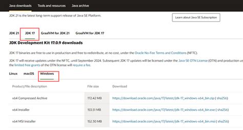 jdk1 8 如何升级到jdk17详细图文讲解亲测有效 上海 悠悠 博客园