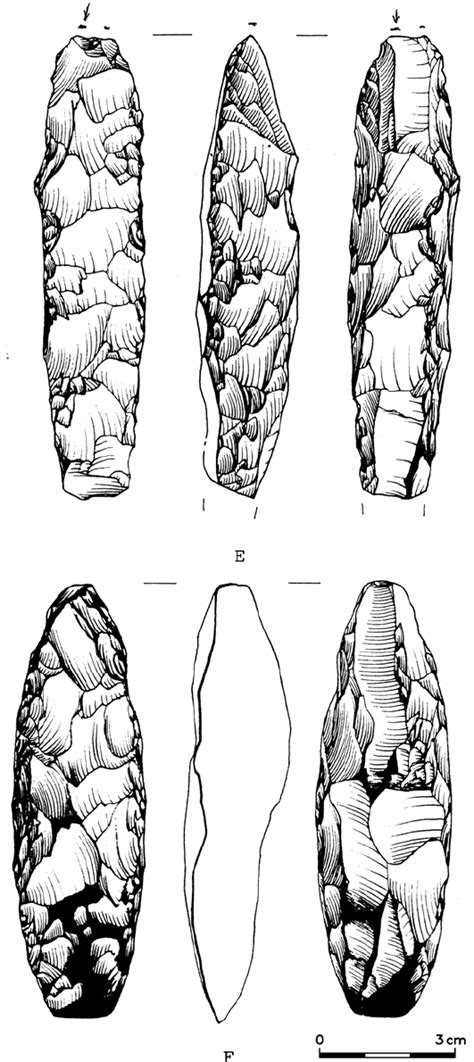 9 E Item 5 Long Narrow Chisel Ventral Face Is On The Left Distal