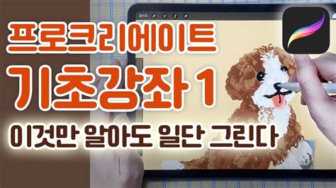 프로크리에이트 기초 강좌 1 왕초보님을 위한 꿀팁 가득 아이패드 드로잉 색연필 브러쉬 공유 Youtube