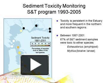 PPT Sediment Toxicity Monitoring S PowerPoint Presentation Free To View Id 9d7b1 NzM1M