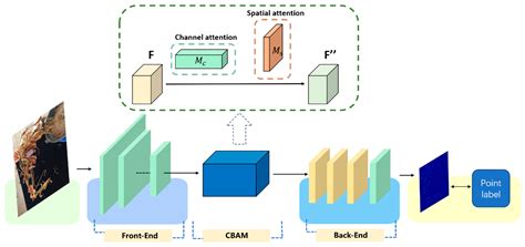 Spcn An Innovative Soybean Pod Counting Network Based On Hdc Strategy