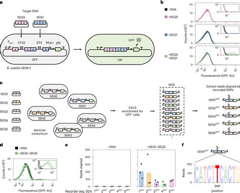 Simultaneous Recording Of Multiple Human Dnas A Schematic For The Download Scientific Diagram
