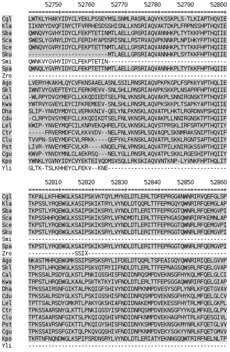 Trimming Algorithms — Trimal