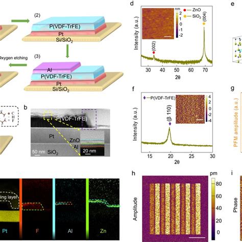 Comparison Of Ferroelectric Memory Performances Ad Memory Performances Download Scientific