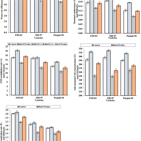 Effect Of Foliar Application Of Proline 80 Mm On Stomatal Download Scientific Diagram