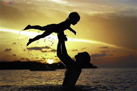 Nh Ng H Nh Nh P V M Ngh A V S U S C Nh T