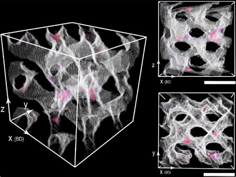 A 3d Heatmap Visualizes All The Diamond M 02 5 Specimens Volumetric Download Scientific