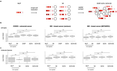 Graph Neural Networks Predict Whole Slide Tumor Phenotypes From Download Scientific Diagram