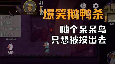 爆笑鹅鸭杀第9期随个呆呆鸟只想被投出去 YouTube