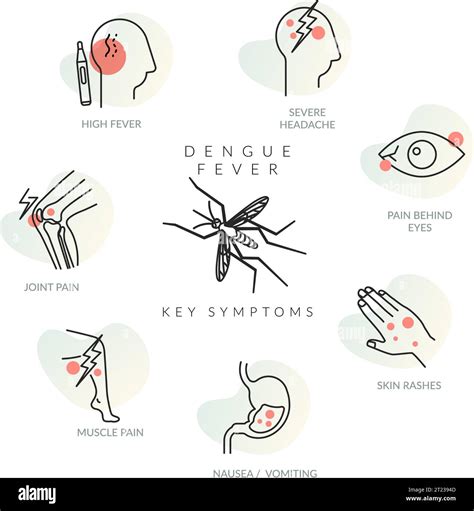 Dengue Rash Treatment At Cody Low Blog