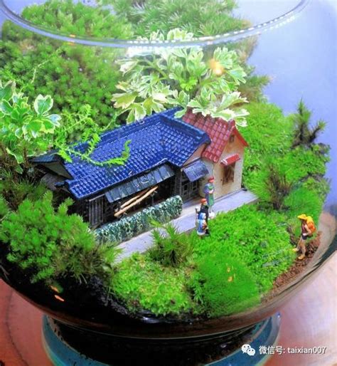 世界顶级苔藓微景观造景，学了就是自己的！植物