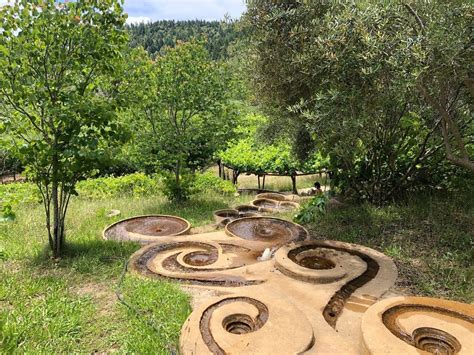 The Basics Of Biodynamics