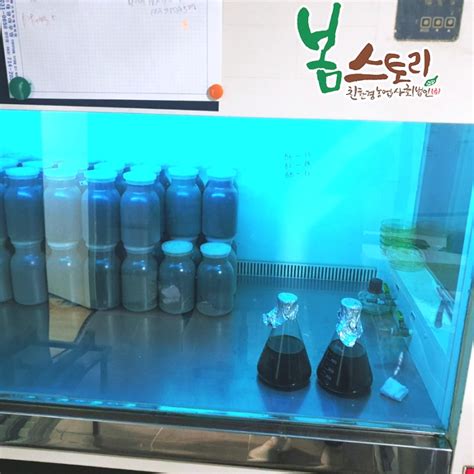 Pda오염테스트 표고버섯배지판매의 전과정 네이버 블로그