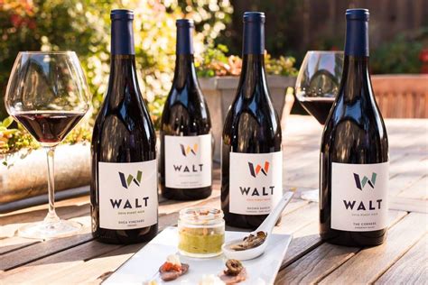 8 Sonoma County Wines You Should Be Sipping