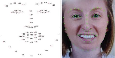 Detecting Facial Landmarks Download Scientific Diagram
