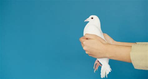 சமாதானம் என்றால் என்ன I Tamilnet