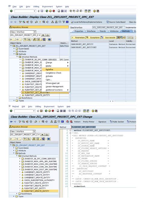 sap netweaver gateway odata pdf