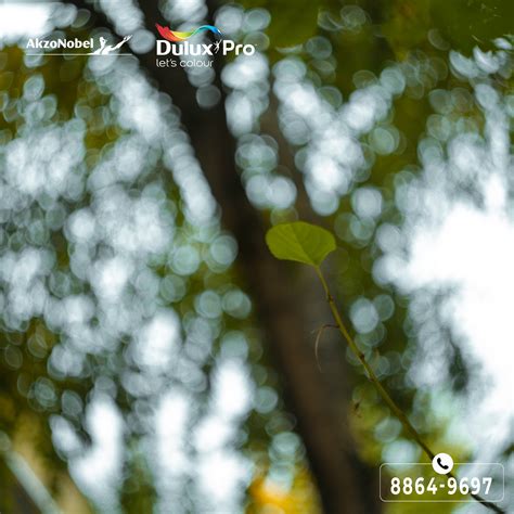 Dulux Pro Mongolia Added A New Photo Dulux Pro Mongolia