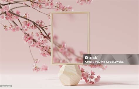 3d 배경 베이지색 연단 프레임이 있는 나무 디스플레이 사쿠라 핑크 꽃 나무 가지입니다 화장품 또는 미용 제품 홍보 단계 꽃 받침대 추상 최소 광고 3d 렌더링 스프링 모형