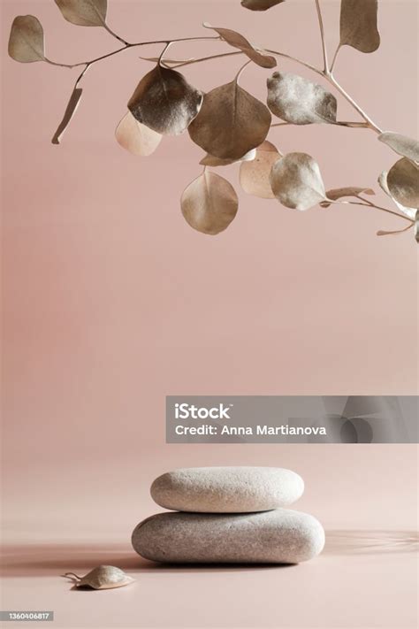 브랜딩 및 제품 프레젠테이션을 위한 최소한의 배경 베이지 색 배경에 제품을 표시하기위한 잎이있는 천연 석 복사 공간 0명에 대한 스톡 사진 및 기타 이미지 Istock