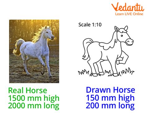 How To Write Scale In Graph Simple Steps For Babes