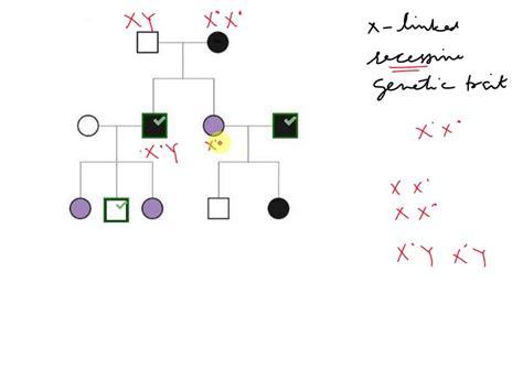 Solved Texts Drag The Given Black And White Squares To The Correct