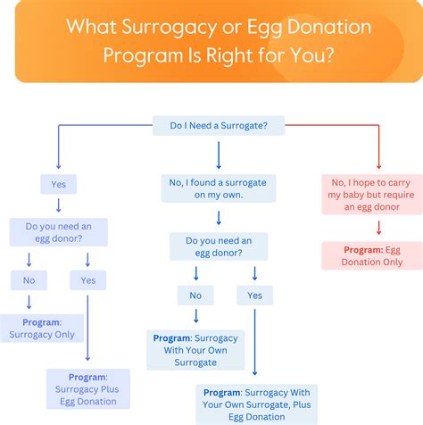 Surrogacy Cost And All Inclusive Program Circle Surrogacy