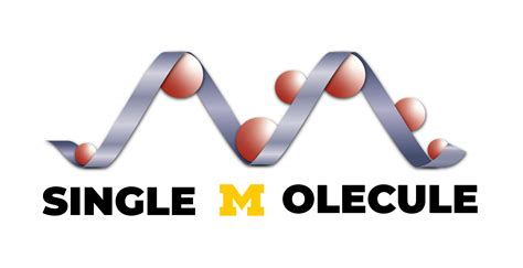 Single Molecule Analysis In Real Time Smart Center Center For Rna Biomedicine