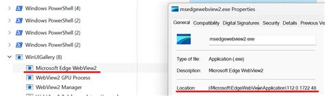 Webview2 Not Loading In Both Uwp And Winui3 · Issue 3318