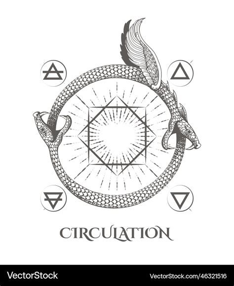 Two Ouroboros Snakes Eat Their Tails Esoteric Vector Image