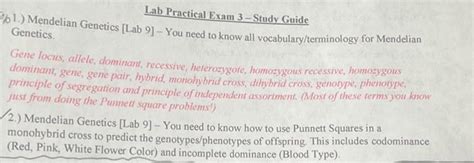 Solved NEED A NICE STUDY GUIDE THAT ANWSERS THESE QUESTIONS Chegg