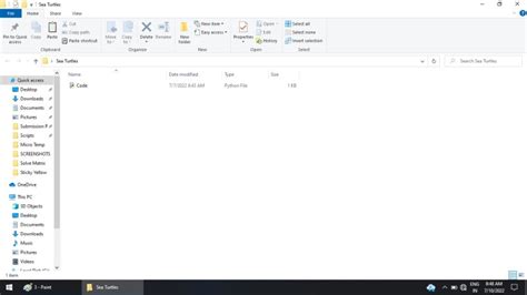 Python Program To Basic New Sea Turtles Design Using The Python