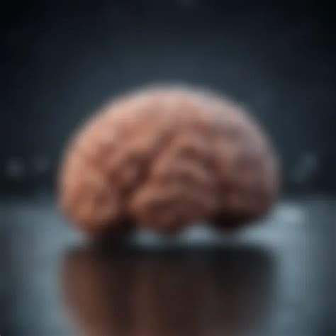 The Cognitive Benefits Of Physical Exercise For Brain Health