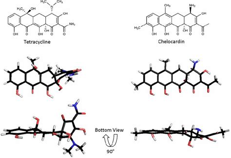 Three Dimensional Architecture Of Tetracycline And Chelocardin