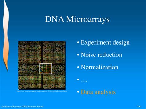 Ppt Gene Expression Analysis And Modeling Powerpoint Presentation