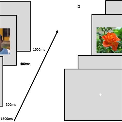 A Mean Accuracy In Percentage Of Correct Saccadic Responses Of The Download Scientific
