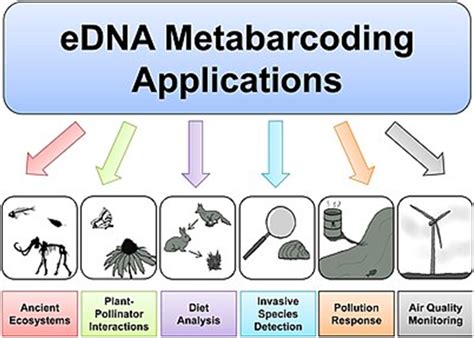 Dna Metabarcoding Fotis Edu